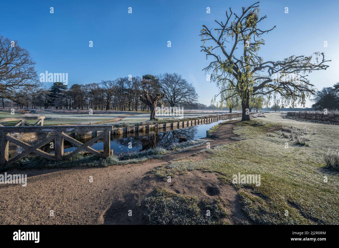 Small bridge and stream at Bushy Park Surrey in early April first thing ...