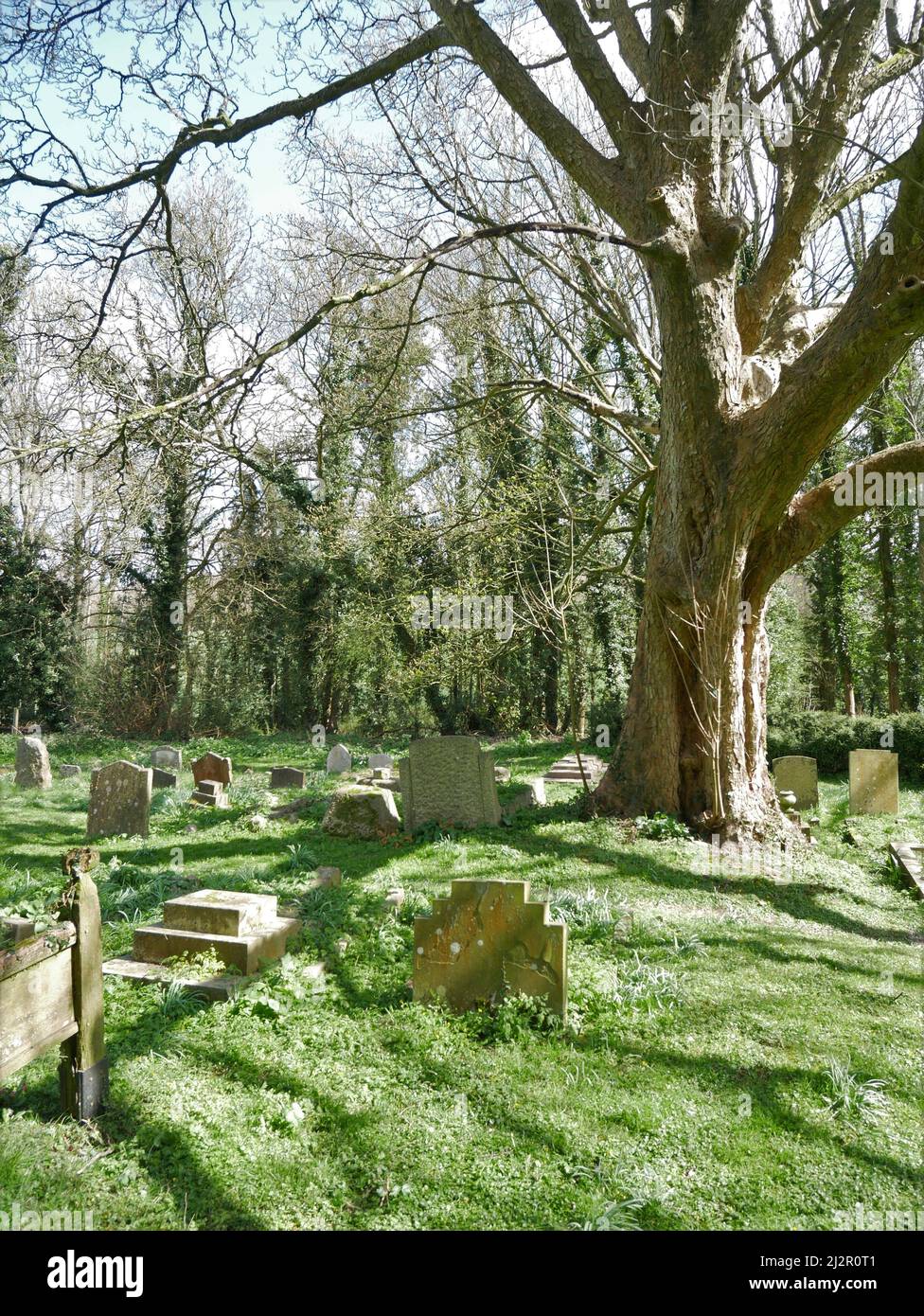 Chaldon Viillage, Surrey, England Stock Photo - Alamy