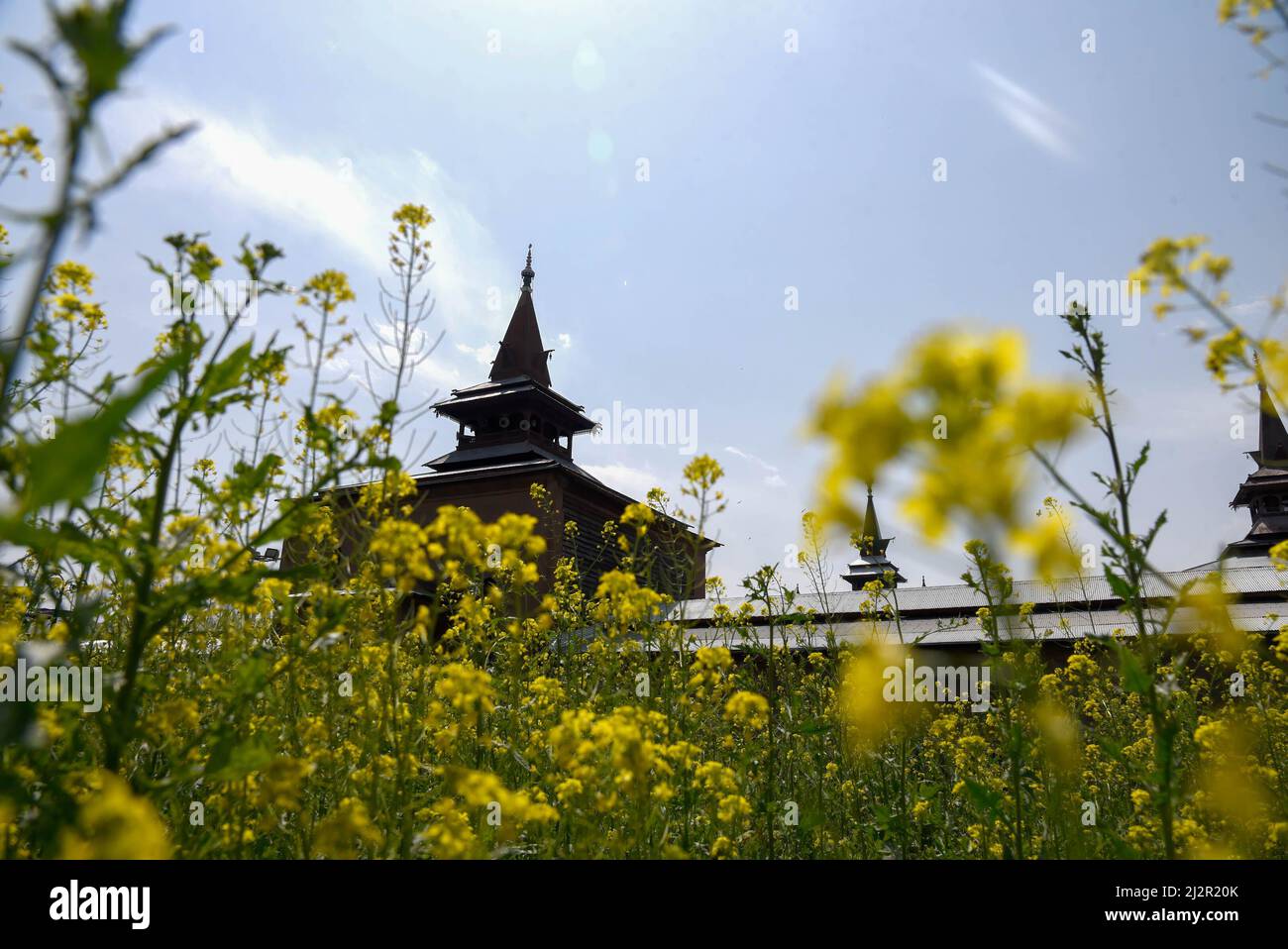 A view of Jamia Masjid during spring on the first day of Ramadan. Islam ...