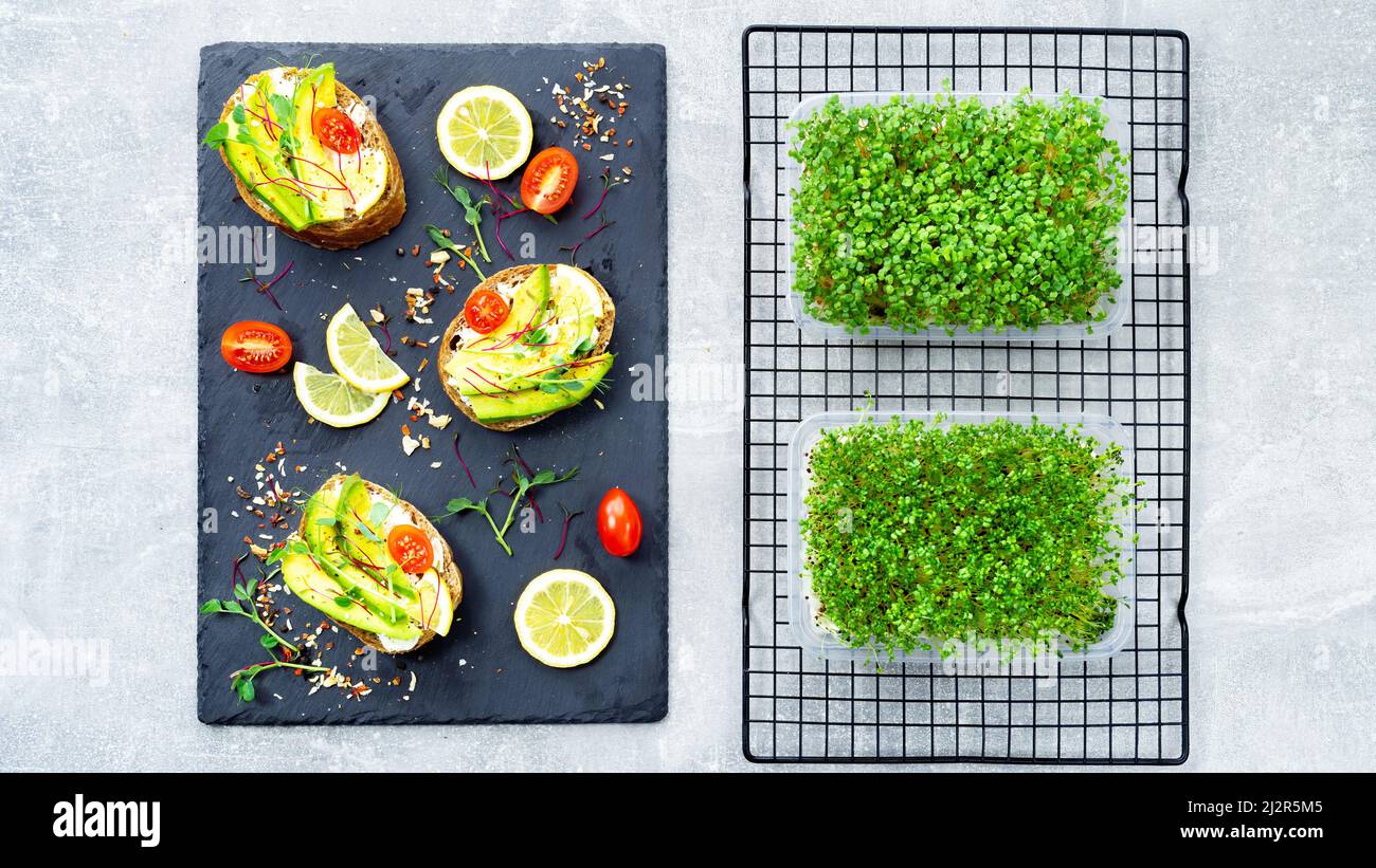 How to use microgreens in home cooking. Snacks with microgreens ...