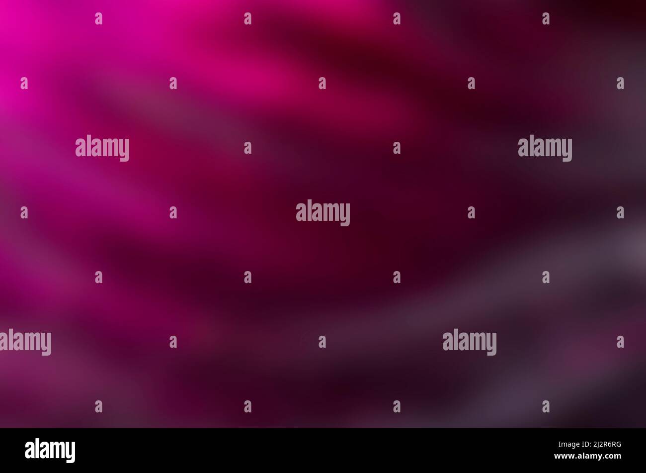 Colorful flower background of beautiful Purple colors. Background of ...