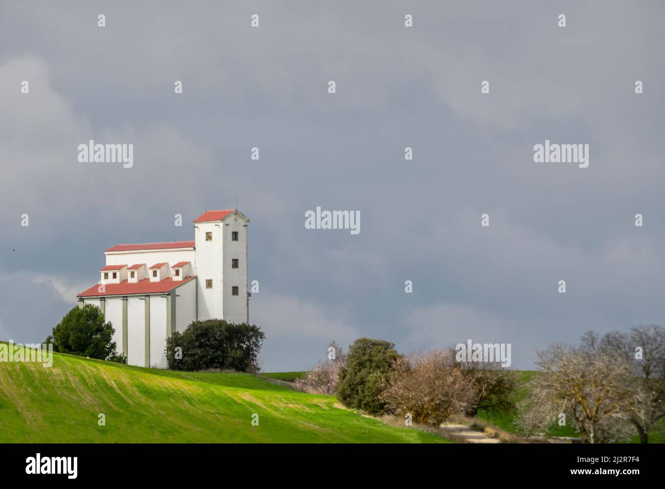 Field of corn cement hi-res stock photography and images - Alamy