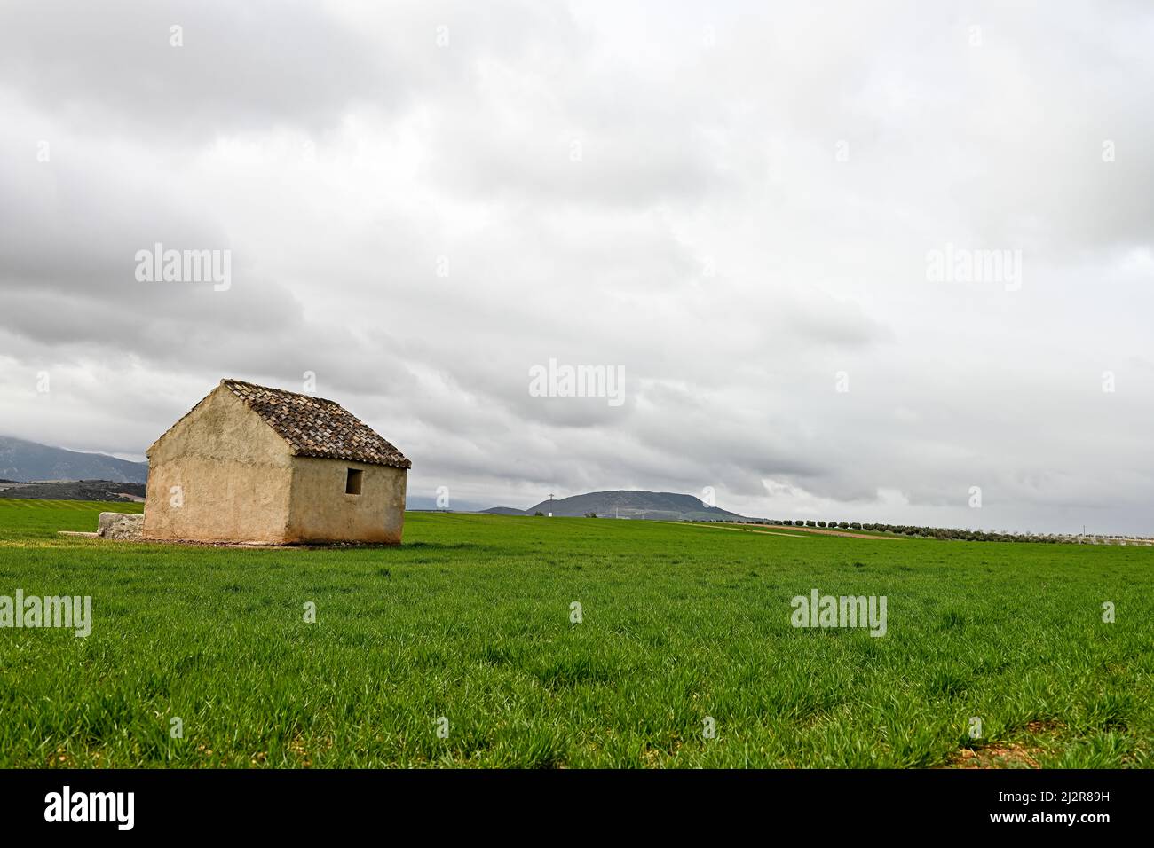 Rural farmhouse in the cereal fields in Granada - Spain Stock Photo - Alamy