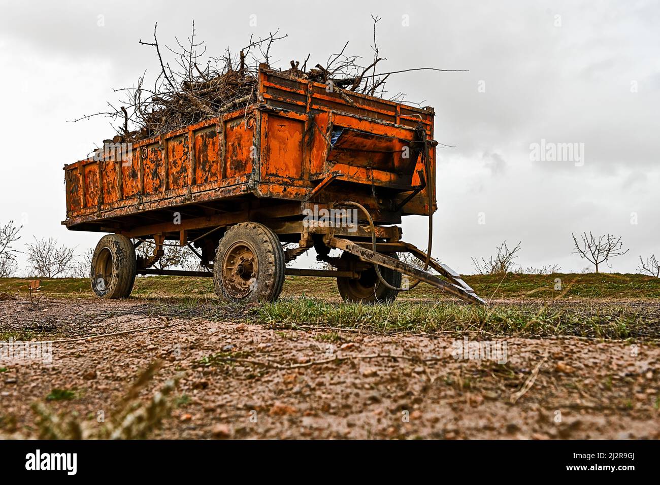 Old rusty trailer, full of firewood Stock Photo - Alamy