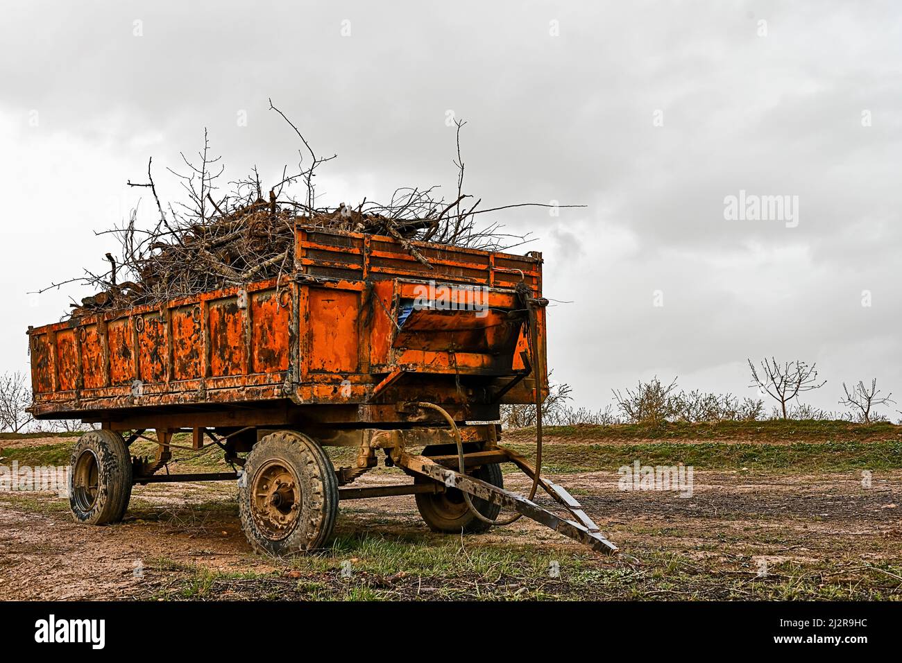 Old rusty trailer, full of firewood Stock Photo - Alamy