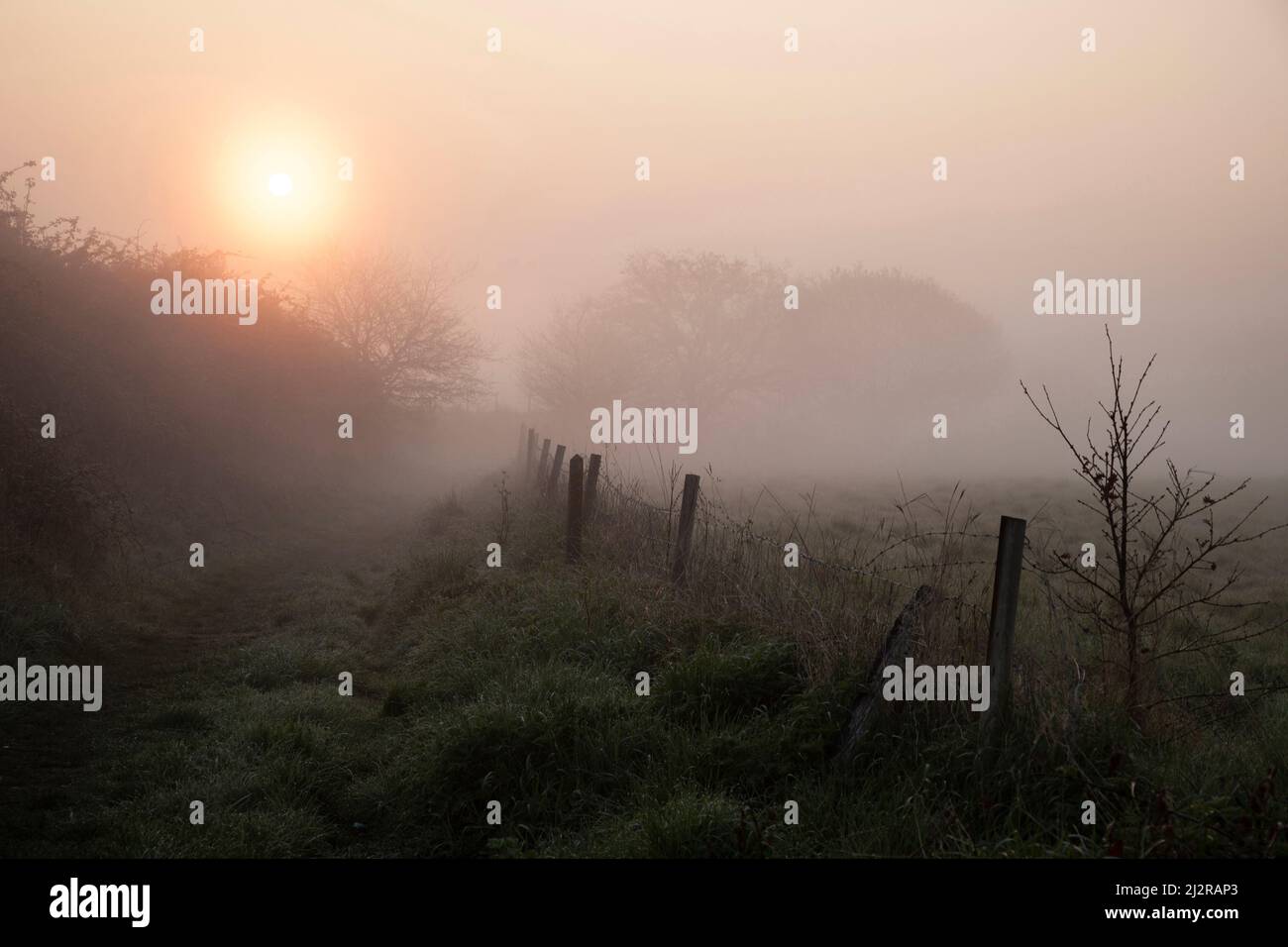 Sunrise on a misty farmland field above Little Larford village in ...