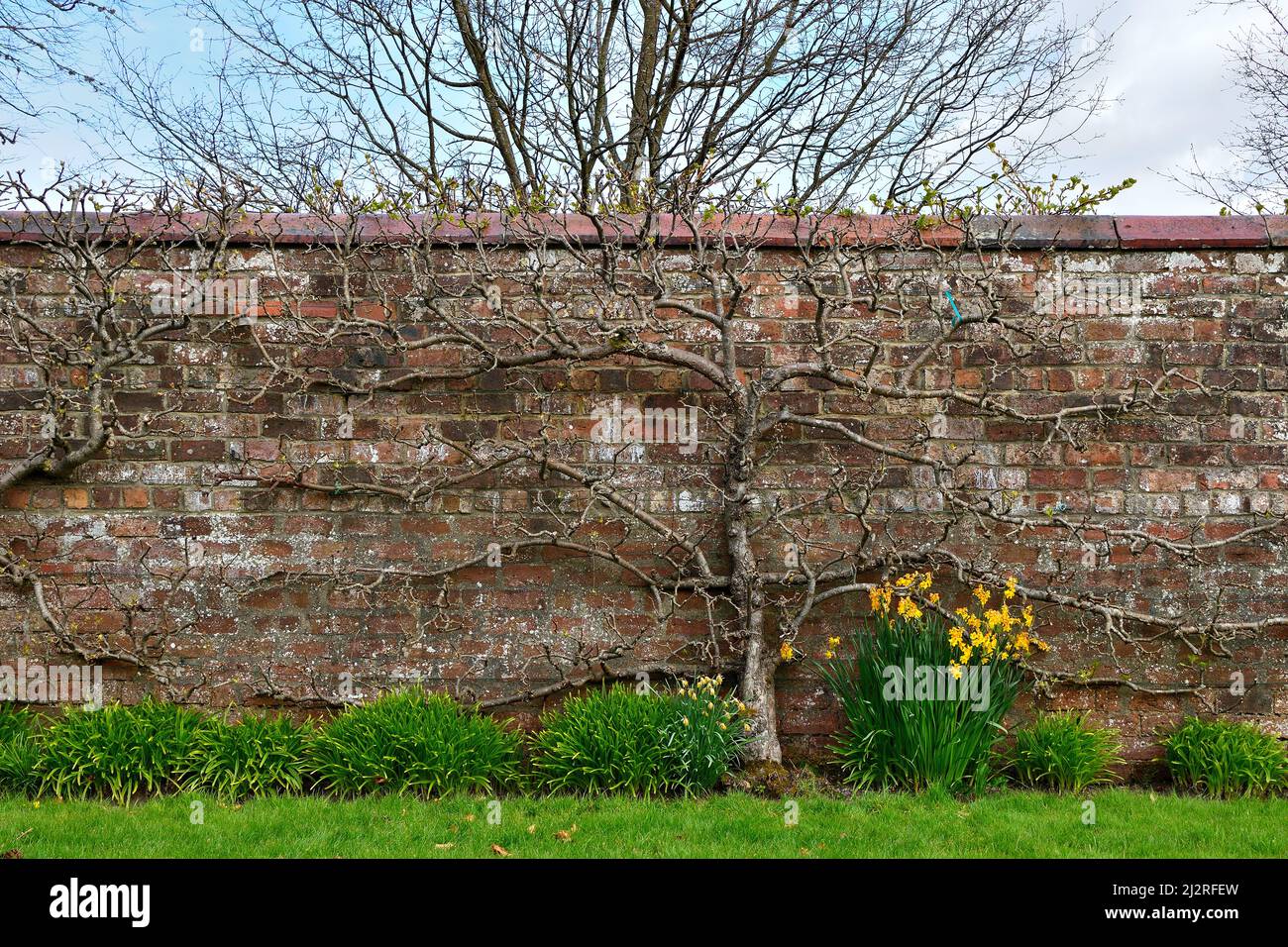 Finlaystone hi-res stock photography and images - Alamy