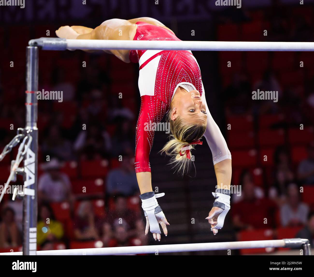 Golden bears gymnast bars hi-res stock photography and images - Alamy
