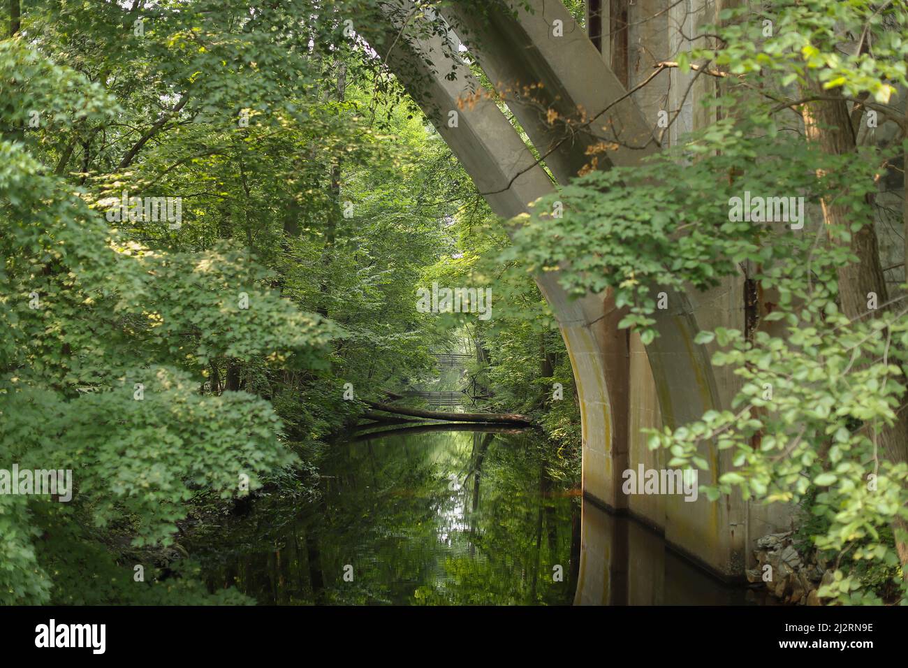 17 miles (so far) of off road paved trails and some on road and marked ...