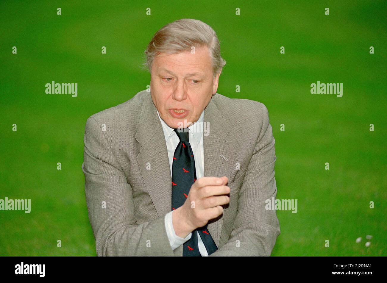 Sir David Attenborough. Television Wildlife and Nature Presenter ...