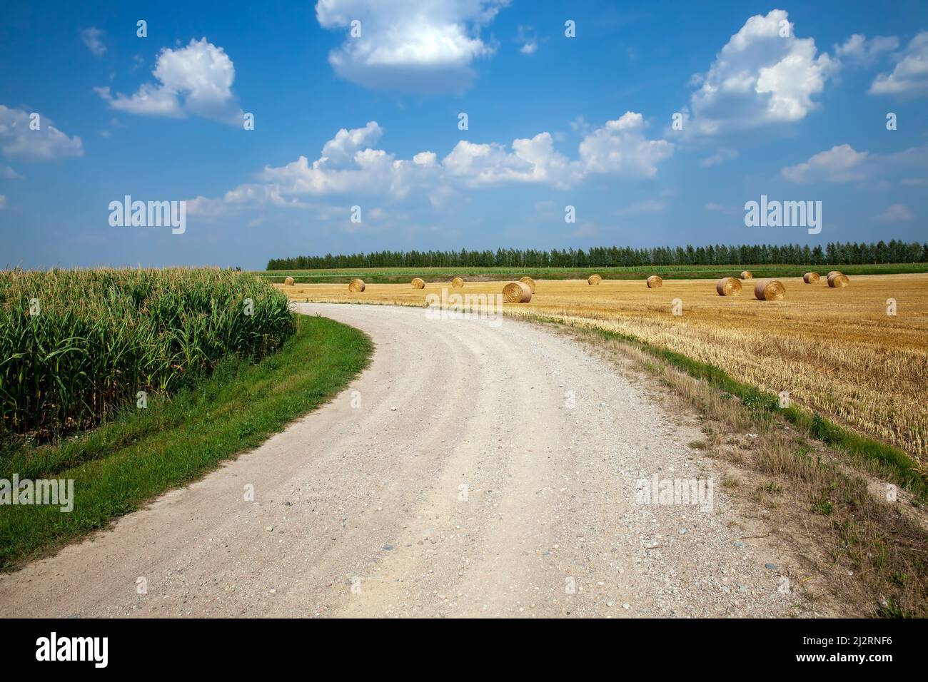 features on paved sandy road in rural area, road for traffic in rural ...