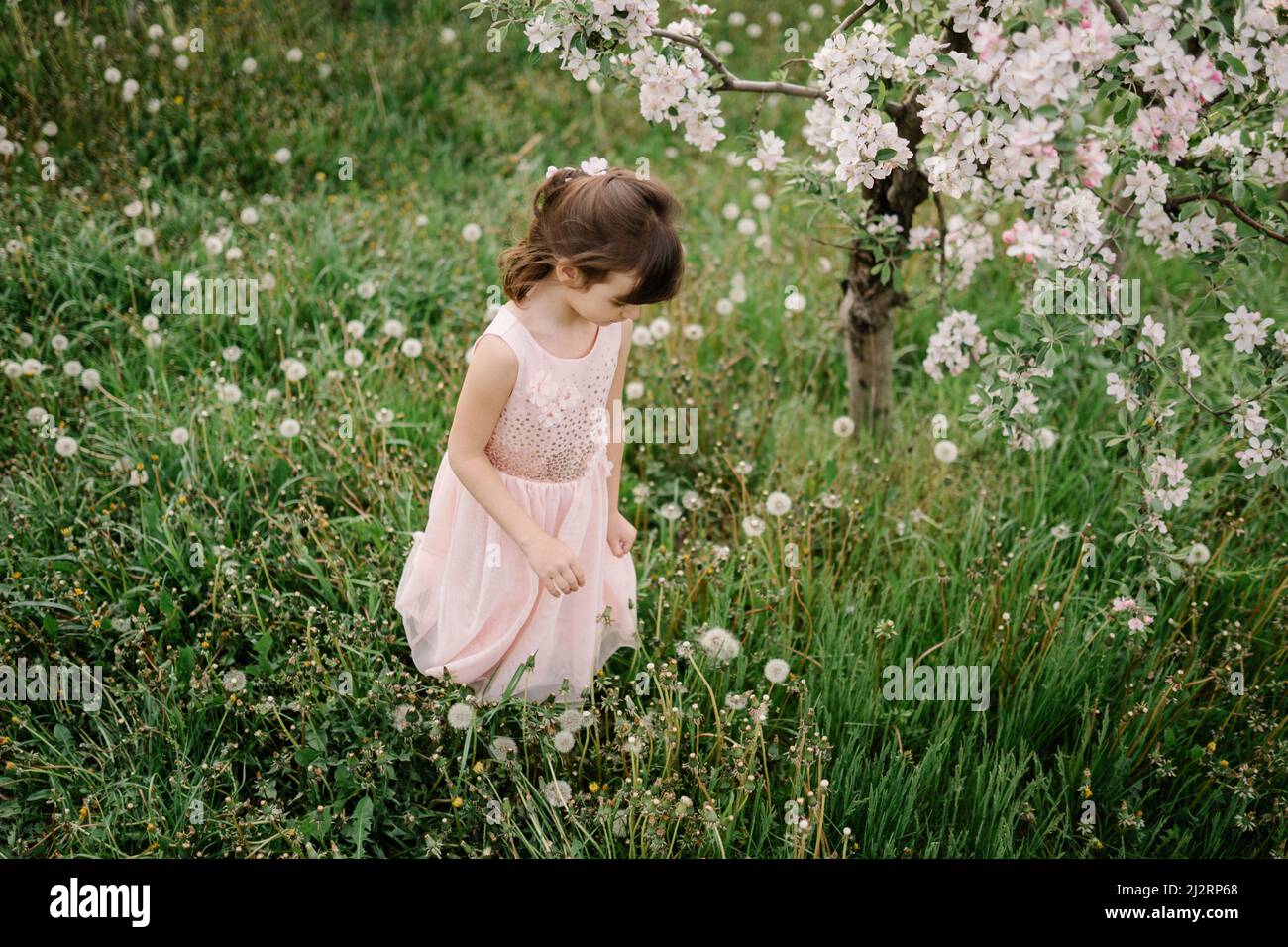 Spring time inspiration photo, natural colors Stock Photo - Alamy