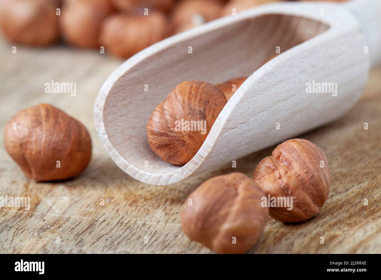ripe, shelled hazelnuts, hazelnuts ready for use in food production ...