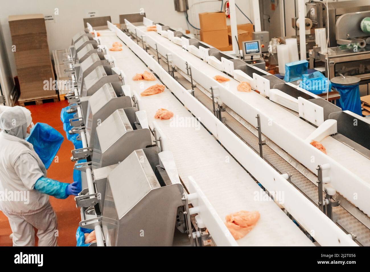Chicken fillet production line . Factory for the production of food ...