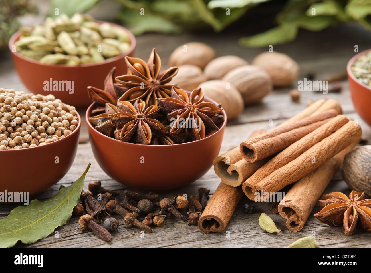 Bowls of aromatic spices - anise, coriander, cardamom pods. Gloves ...