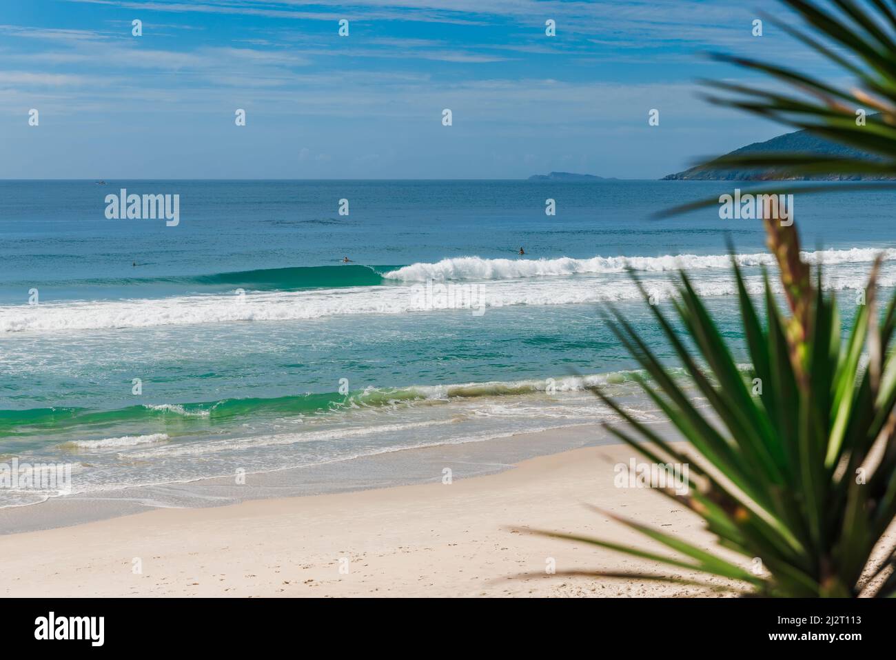 Holiday beach and blue ocean with surfing waves in Brazil. Morro das ...