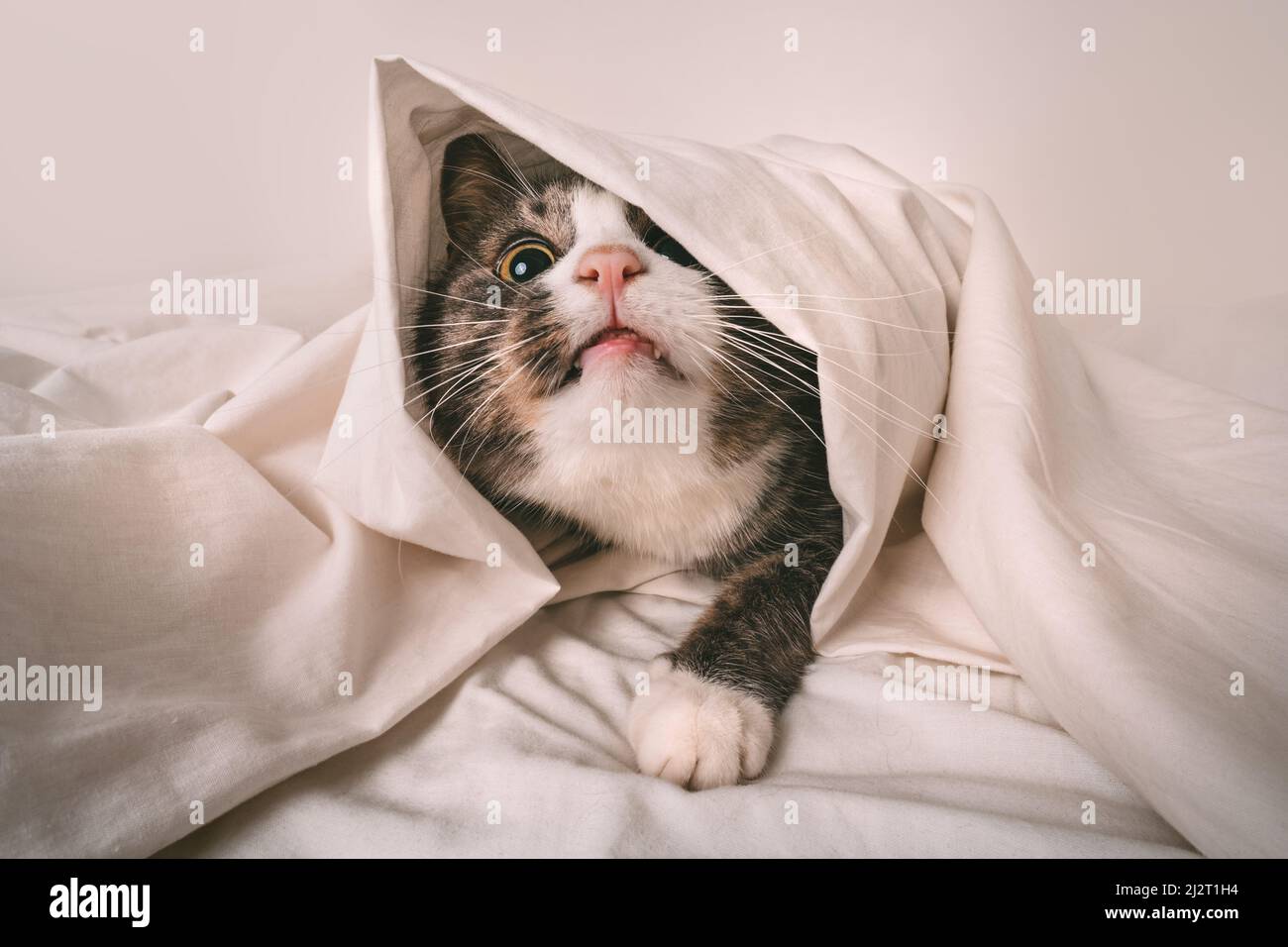 Sheets under sheet hi-res stock photography and images - Alamy