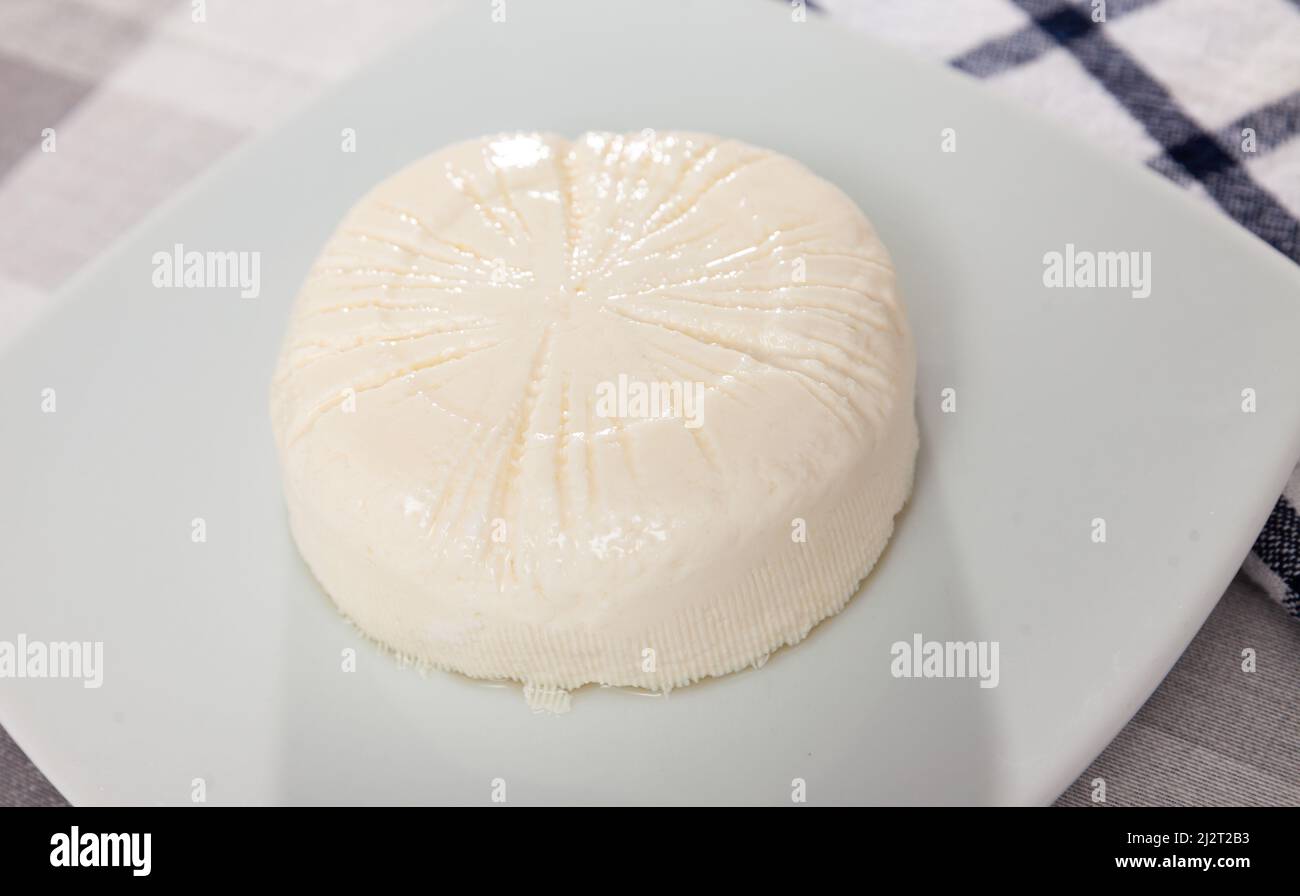 Delicious young cheese Stock Photo - Alamy