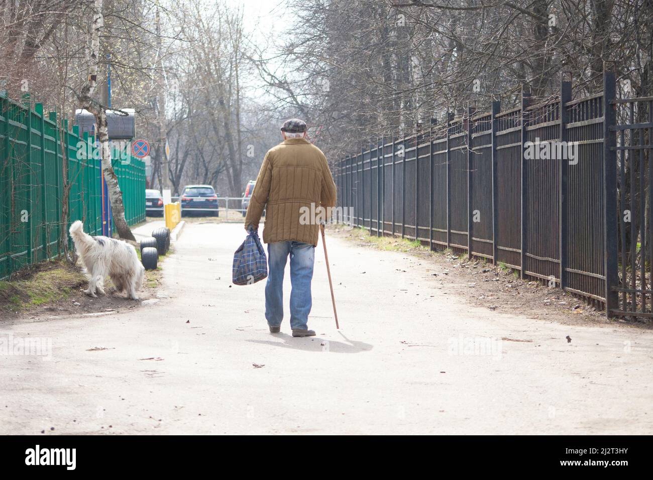 Pensioner in Russia. Grandpa walks down street. Old man with support ...