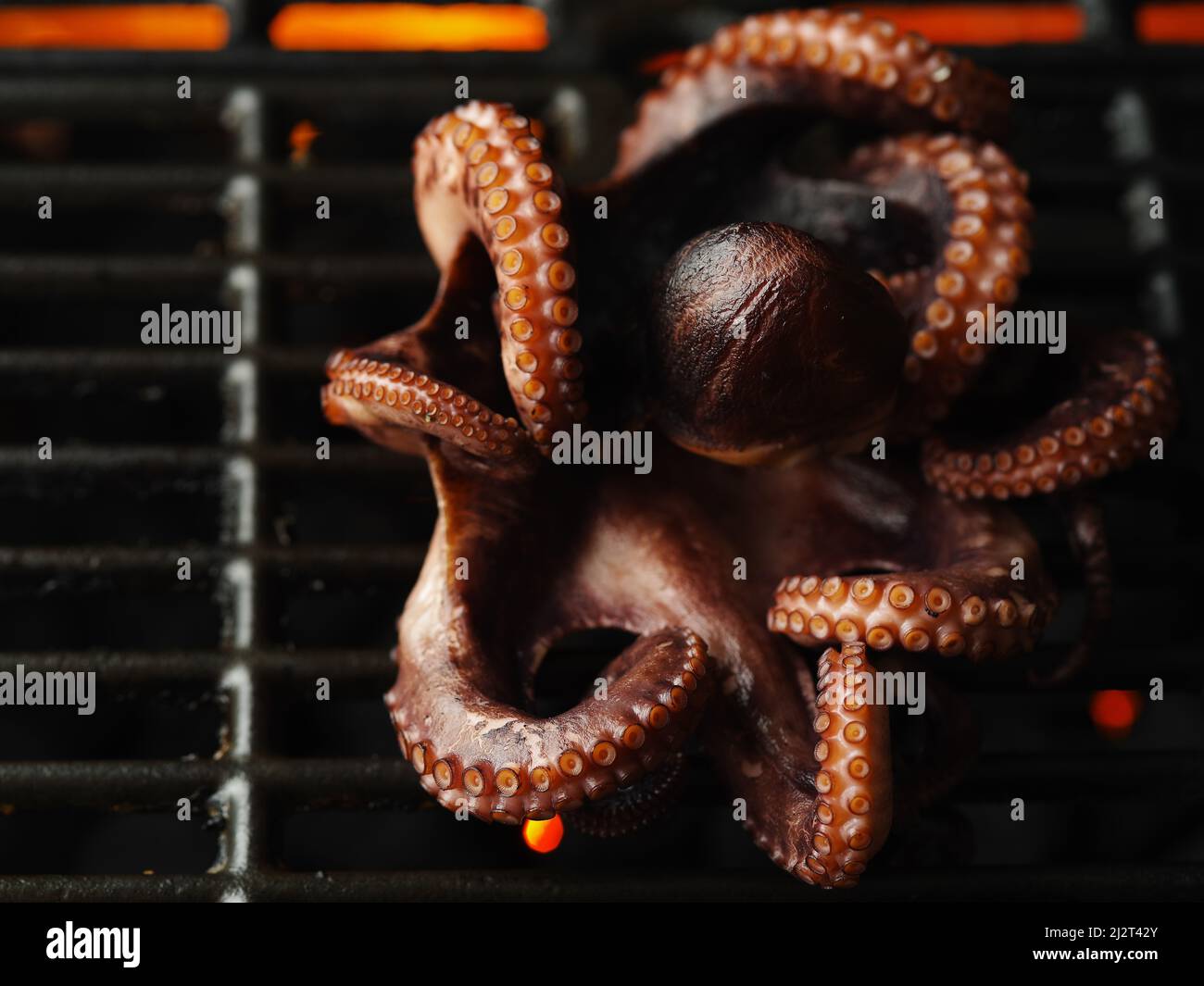 Close-up. Grilled octopus. There are no people in the photo. Sea Asian ...