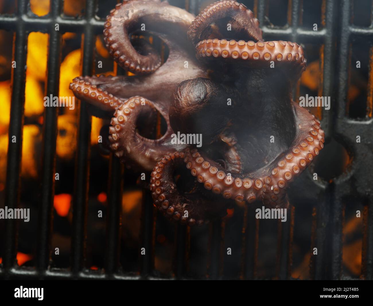 The octopus is fried on a grill through which you can see the fire ...