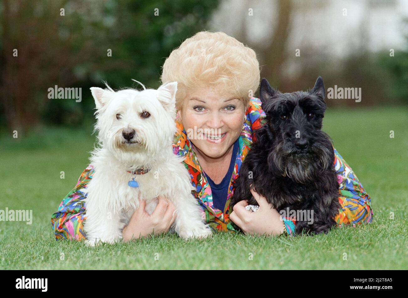 Actress Pam St. Clement with her two pet dogs. 14th April 1992 Stock ...