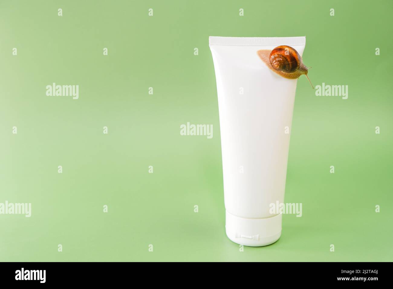 Snail cosmetic.Snails on a white tube on a green background.Organic ...