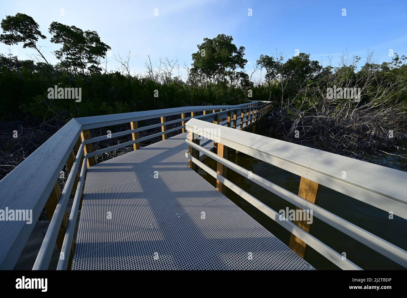 Rebuilt Boardwalk to West Lake in Everglades National Park, Florida ...