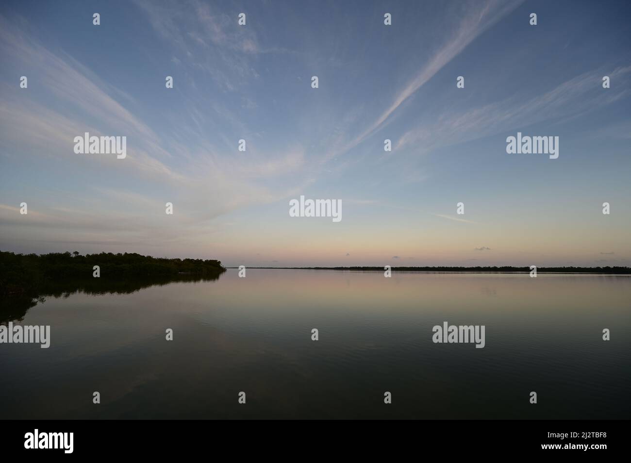 Everglades twilight scene hi-res stock photography and images - Alamy