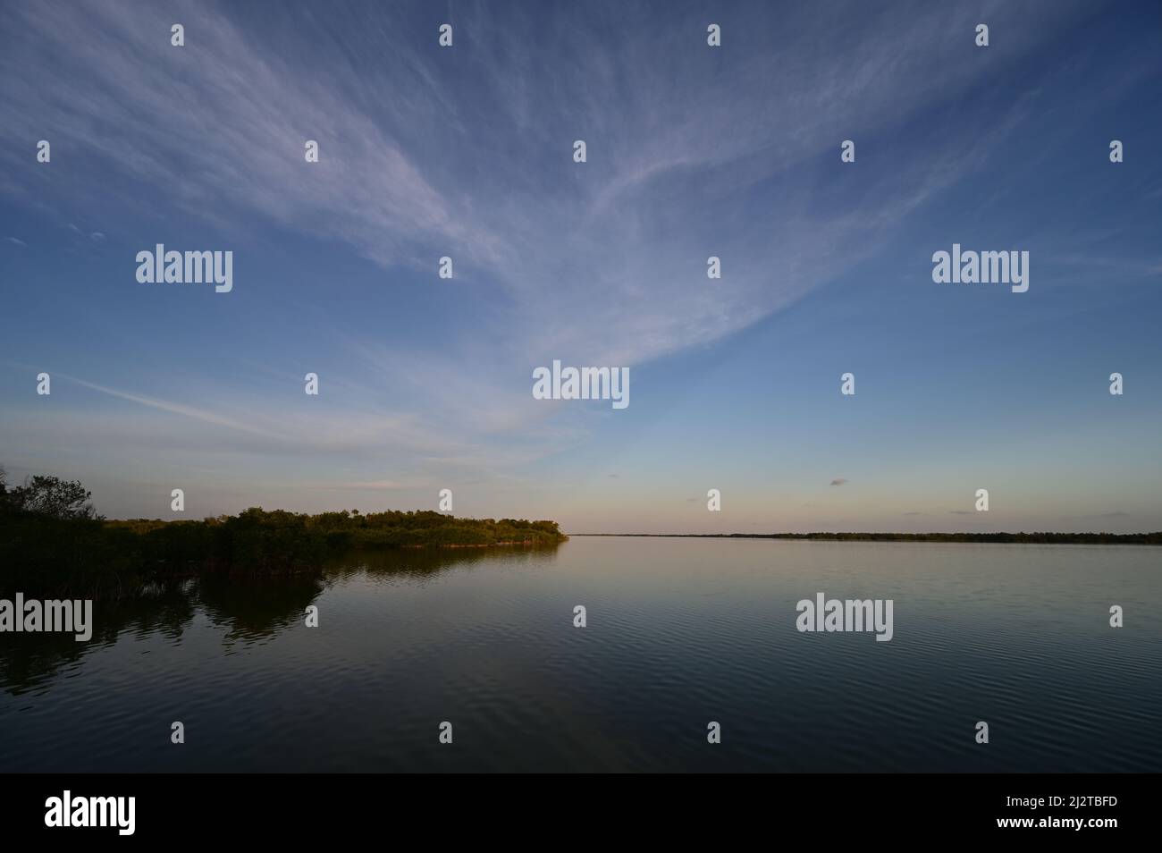 Everglades twilight scene hi-res stock photography and images - Alamy
