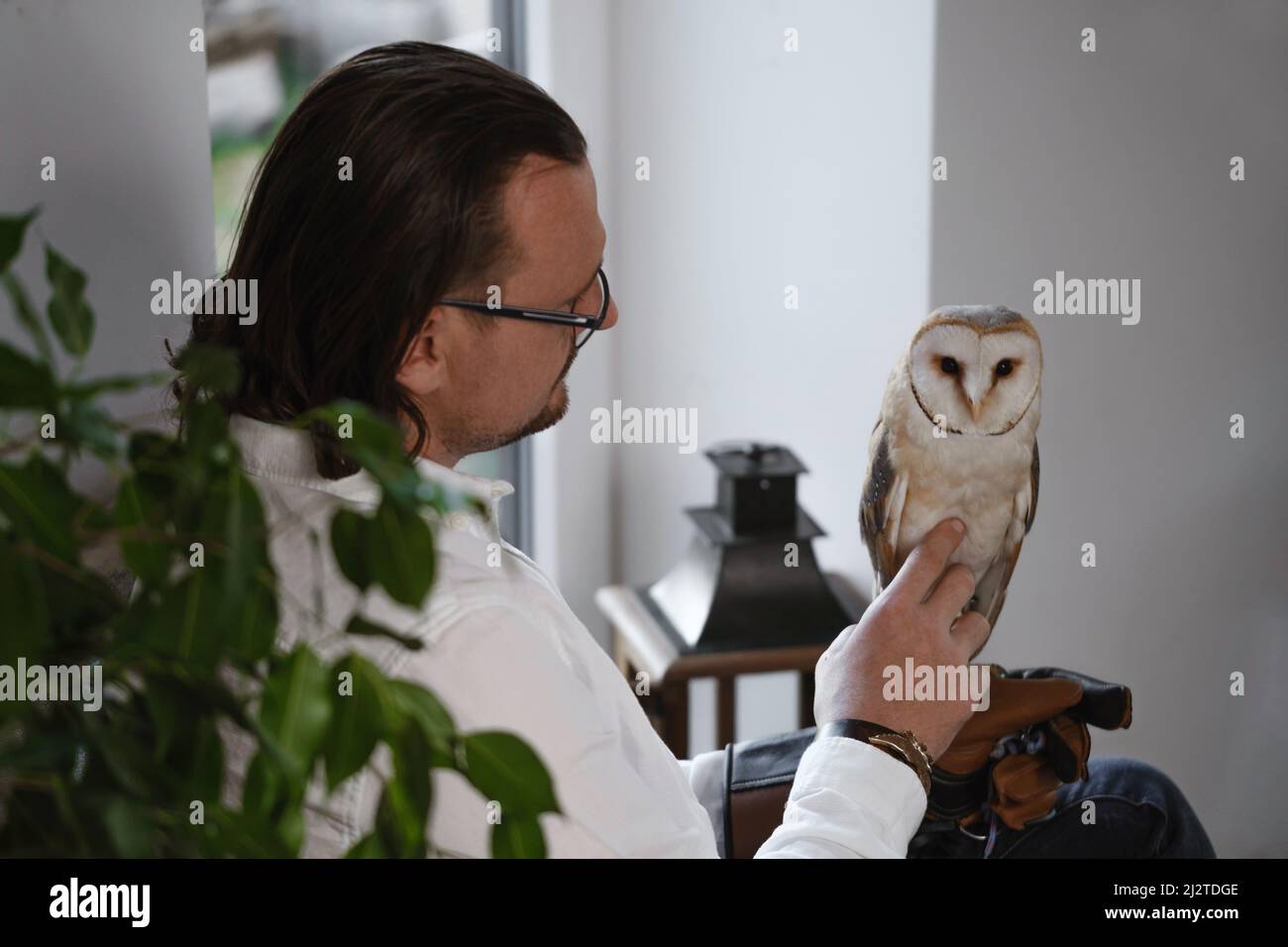 Caucasian male holding bird on shoulder hi-res stock photography and ...