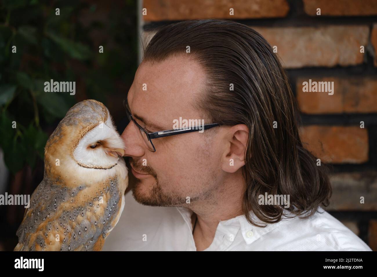 Weirdest Human Animal Relationships Man With Eagle Buzzard At Home.