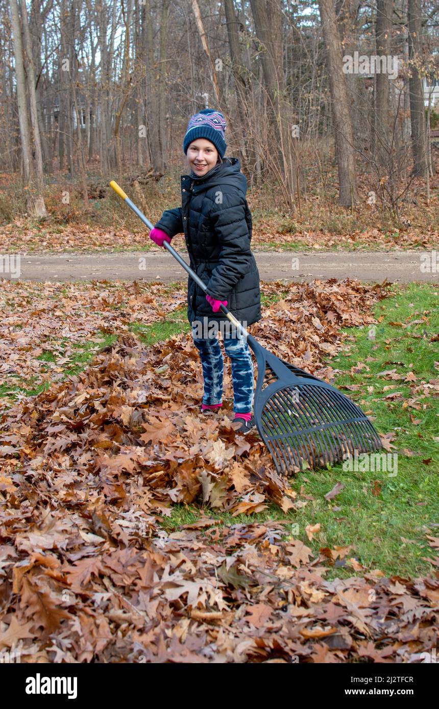 Young girl rakes leaves in her yard on a cool fall day Stock Photo - Alamy