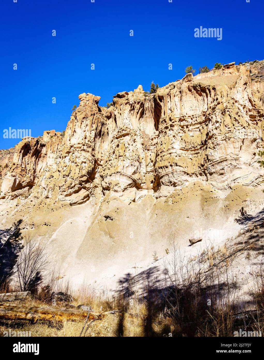 A view of the main cliff of Bandelier National Monument showing cave ...