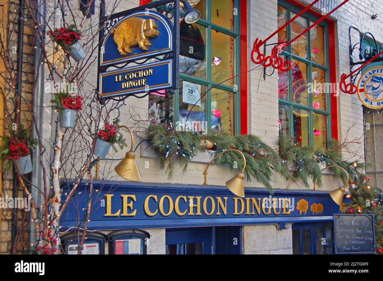 Cochon in hi-res stock photography and images - Alamy