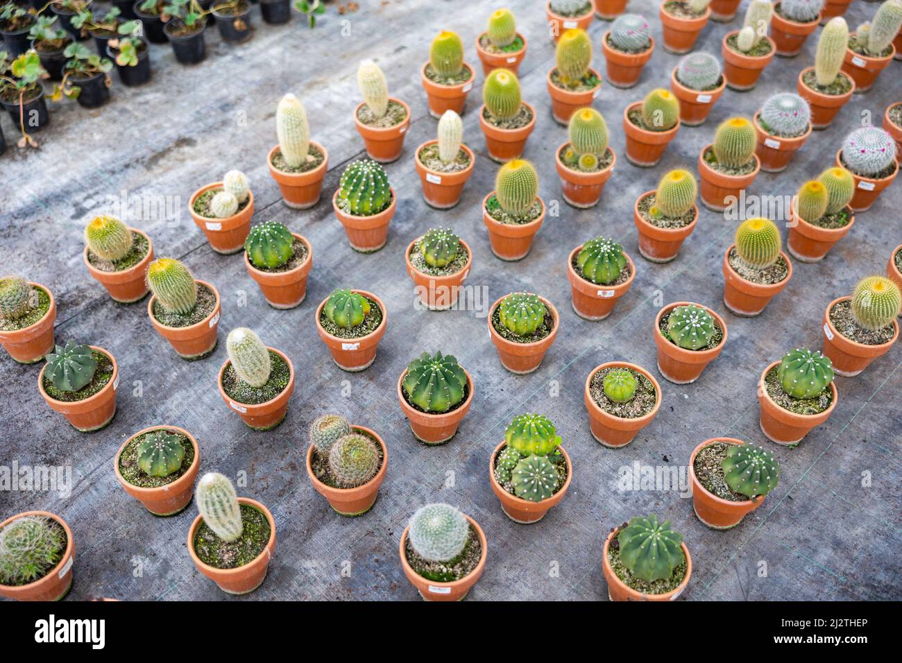 Various farming activities hi-res stock photography and images - Alamy