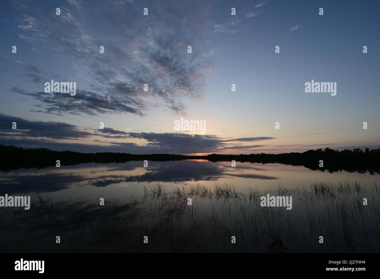 Everglades twilight scene hi-res stock photography and images - Alamy