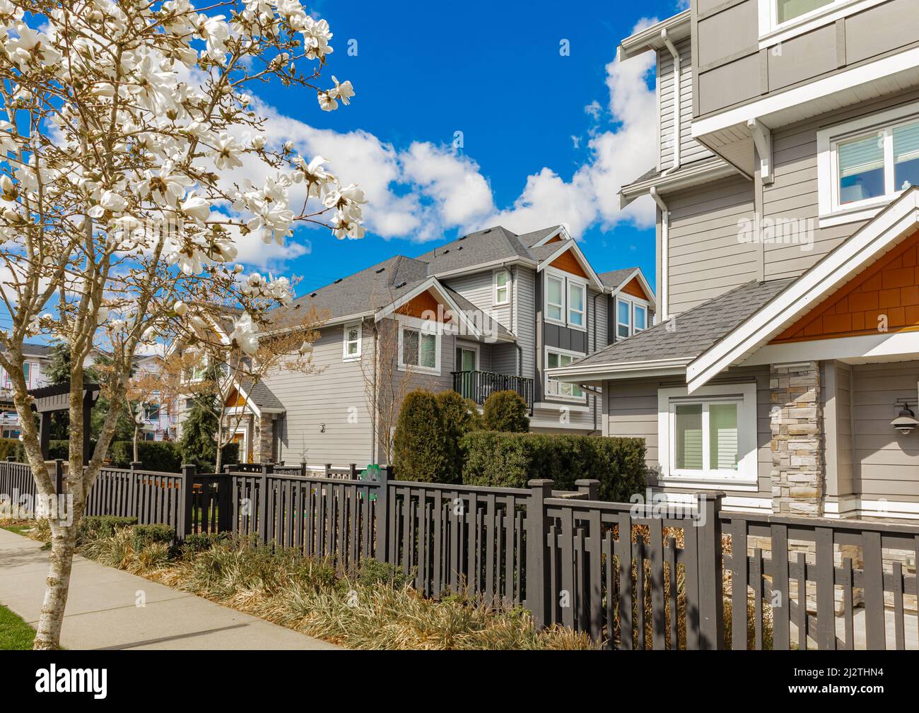 Neighborhood modern houses with spring flowers in BC, Canada. Canadian ...