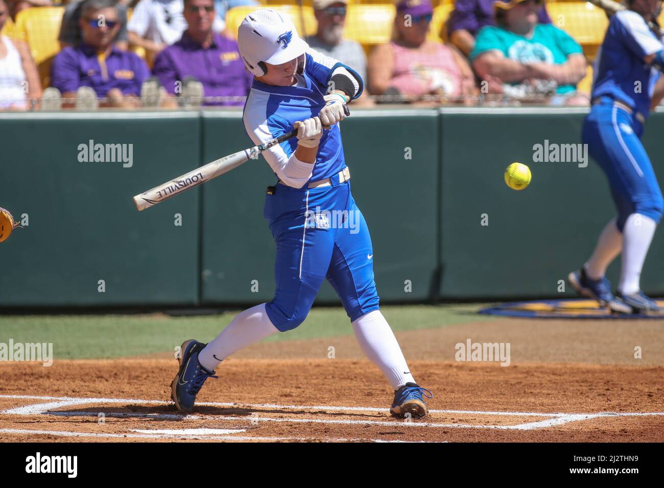 Tiger park lsu hi-res stock photography and images - Alamy