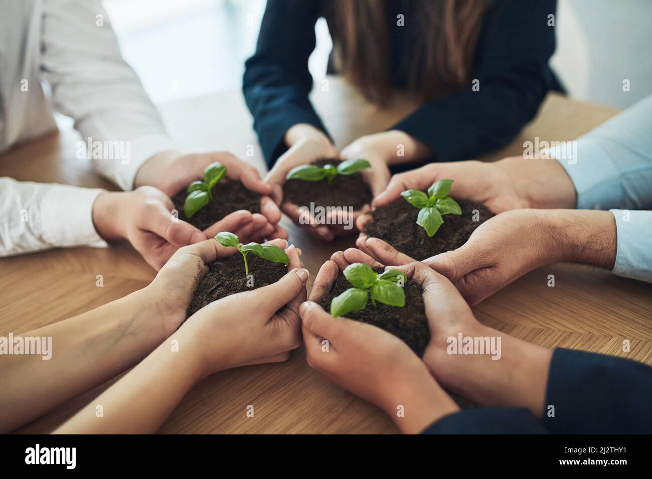 Nothing supports growth like teamwork. Cropped shot of a group of ...