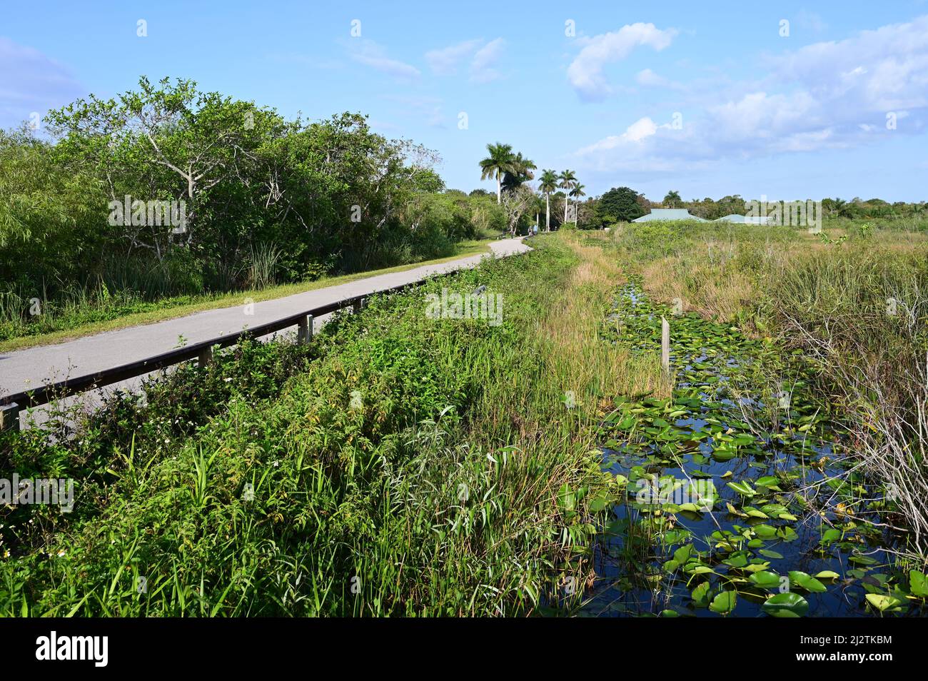 Anhinga Trail and boardwalk in Everglades National Park, Florida on ...