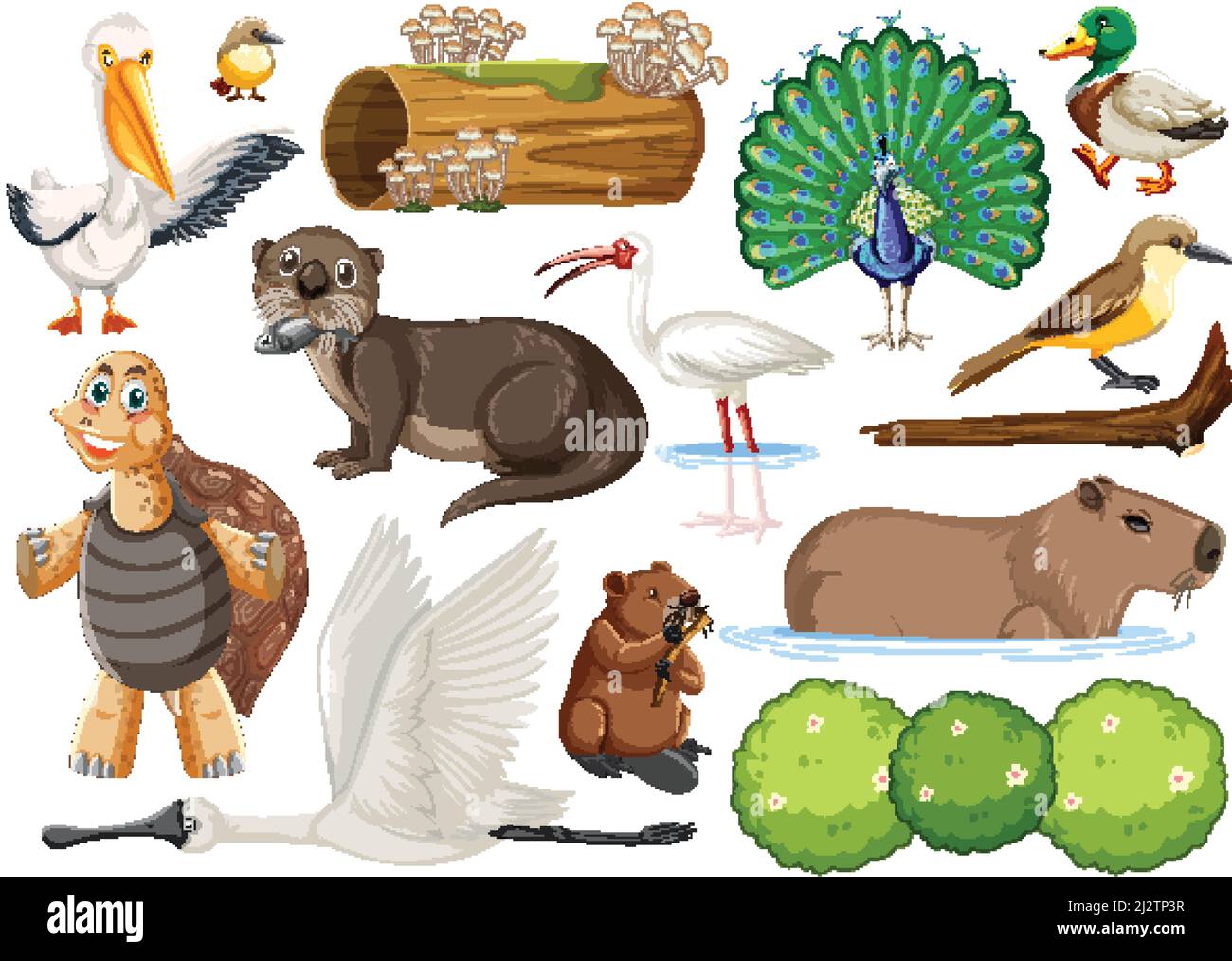 Different kinds of wild animals collection illustration Stock Vector ...