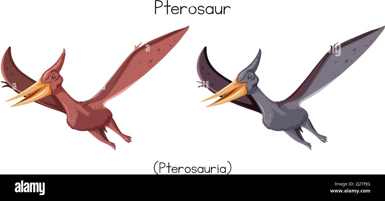 Pterosaurs vector vectors Cut Out Stock Images & Pictures - Alamy