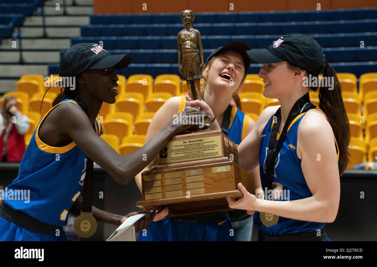 April 3, 2022, Kingston, ON, Canada: Ryerson Rams' Jama Bin-Edward ...