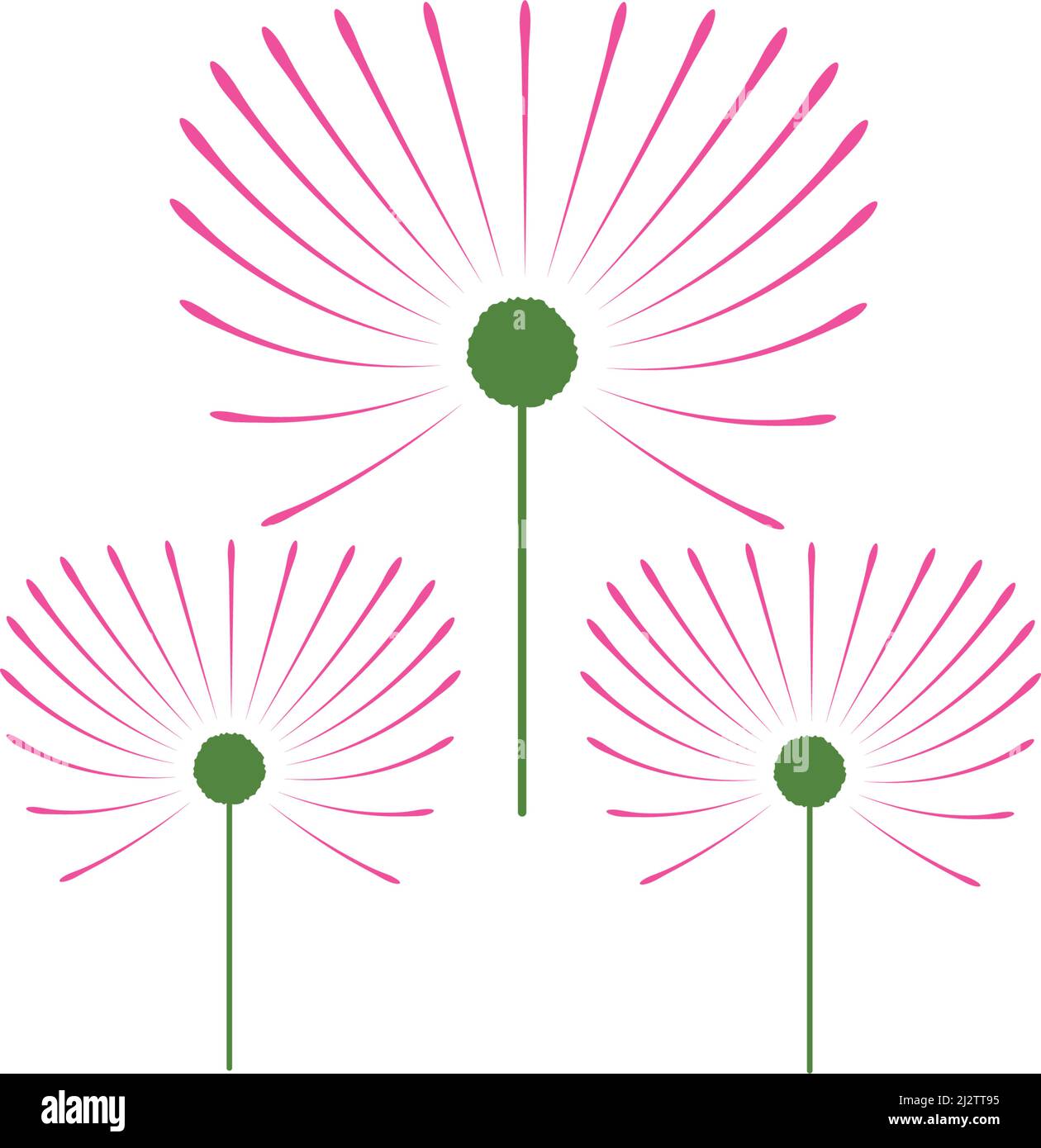 Dandelion illustration label Stock Vector Images - Alamy