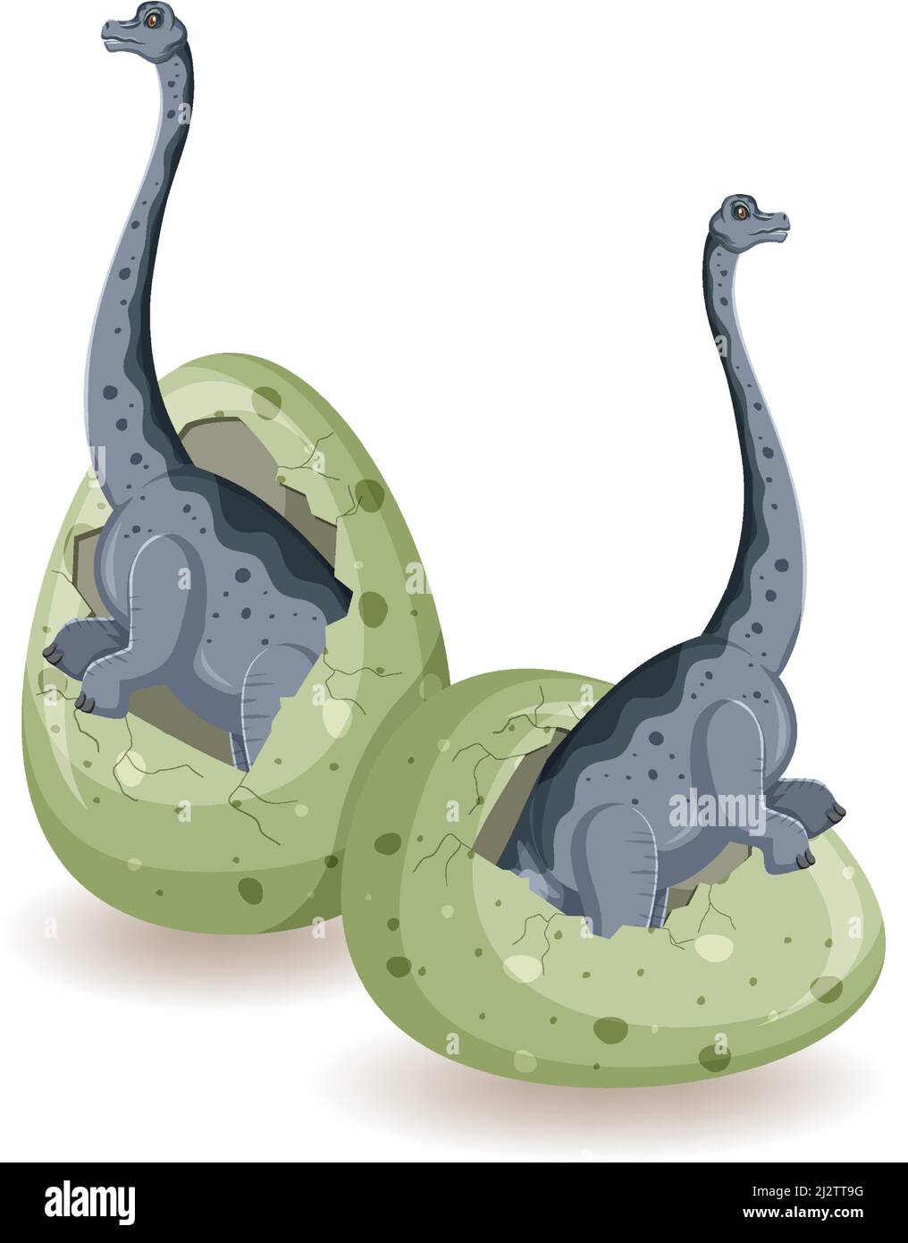 Two brachiosaurus hatching from egg illustration Stock Vector Image ...