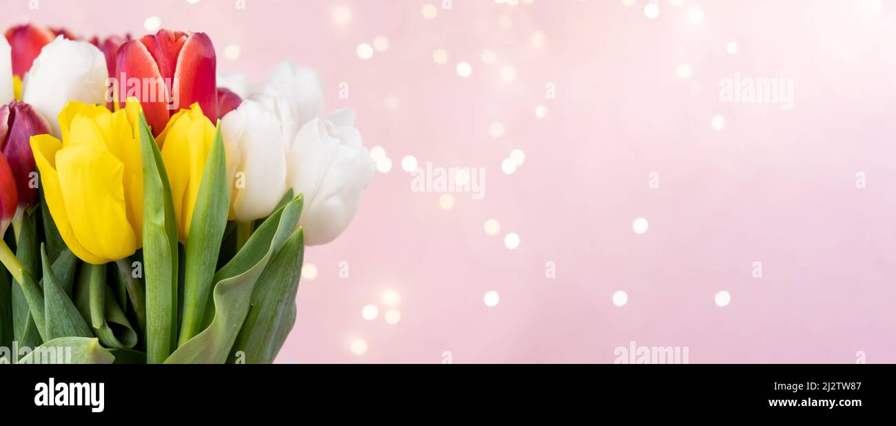 Beautiful delicate bouquet of tulip flowers on pink background header ...