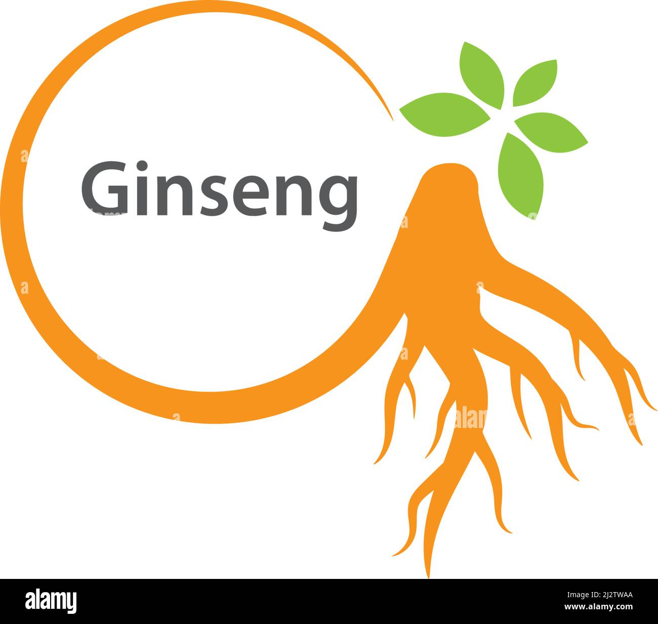 Ginseng icon vector vectors hi-res stock photography and images - Alamy