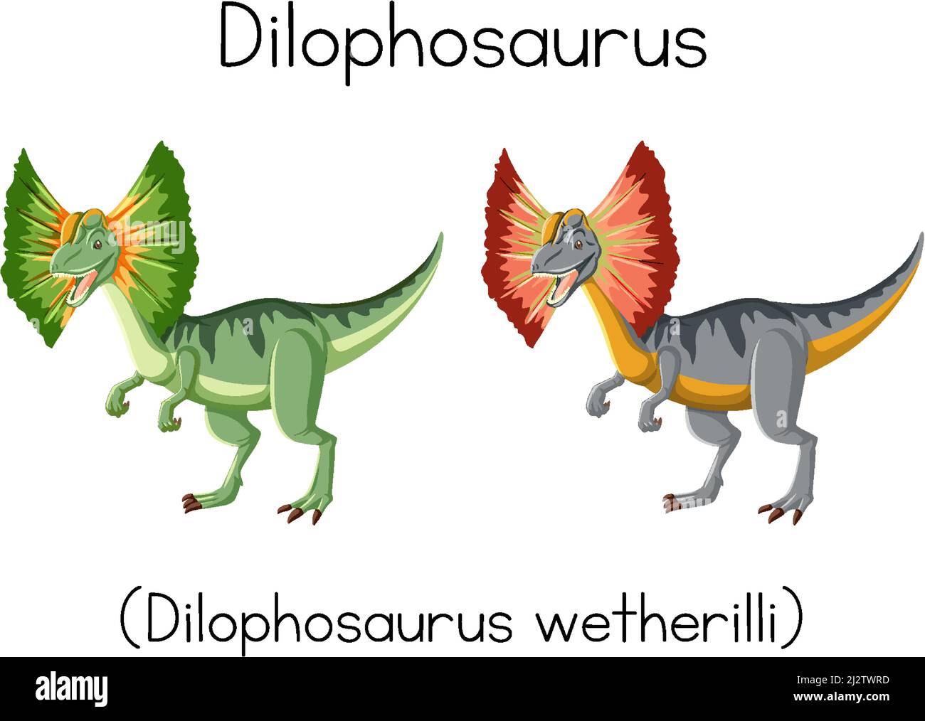 Two dilophosaurus in green and gray illustration Stock Vector Image ...
