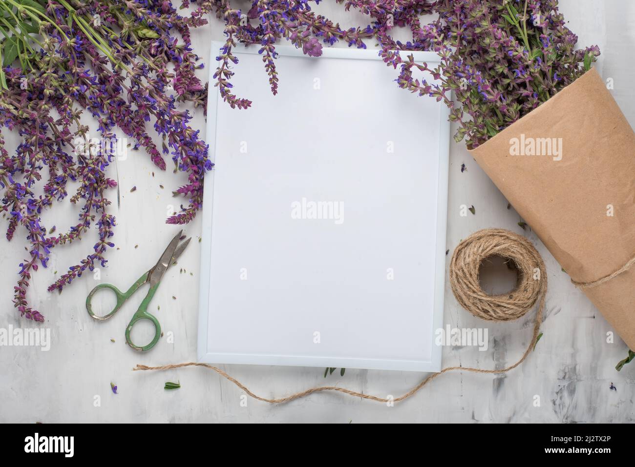 Empty frame space inscription hi-res stock photography and images - Alamy